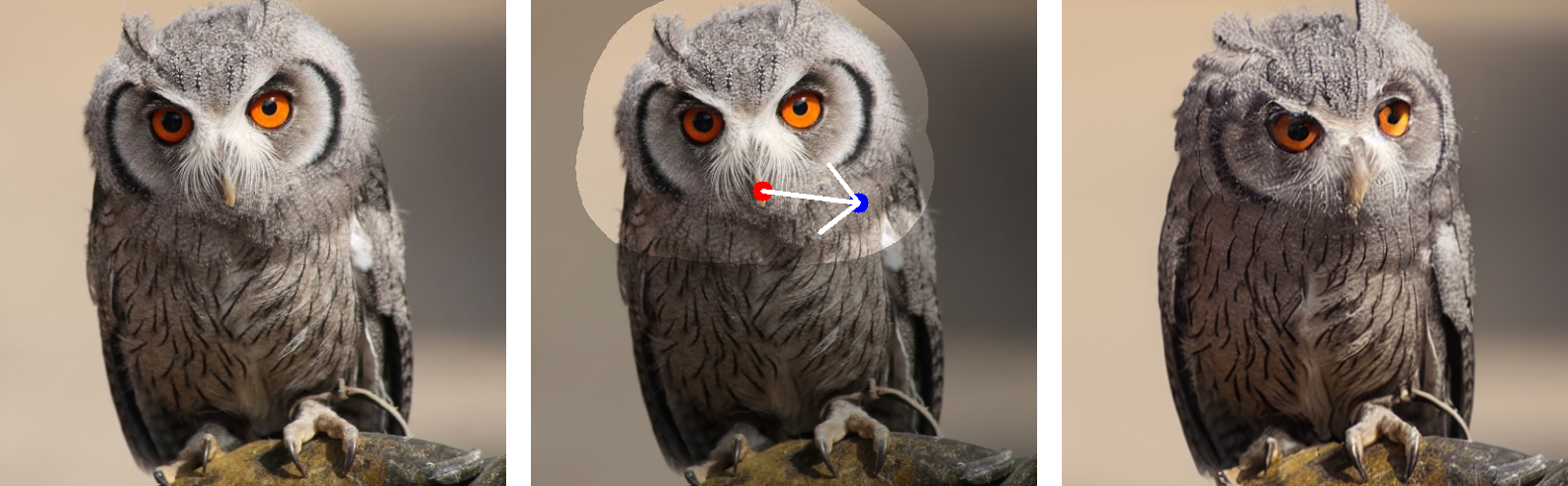 FastDrag: Manipulate Anything in One Step