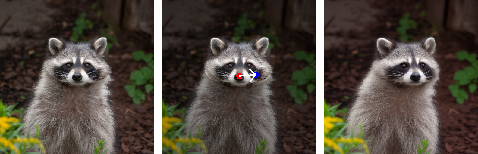 FastDrag: Manipulate Anything in One Step