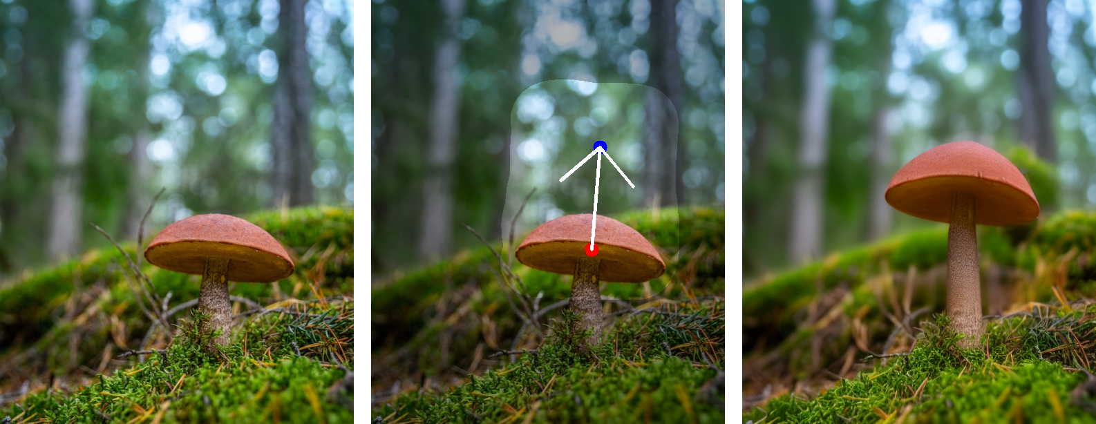 FastDrag: Manipulate Anything in One Step