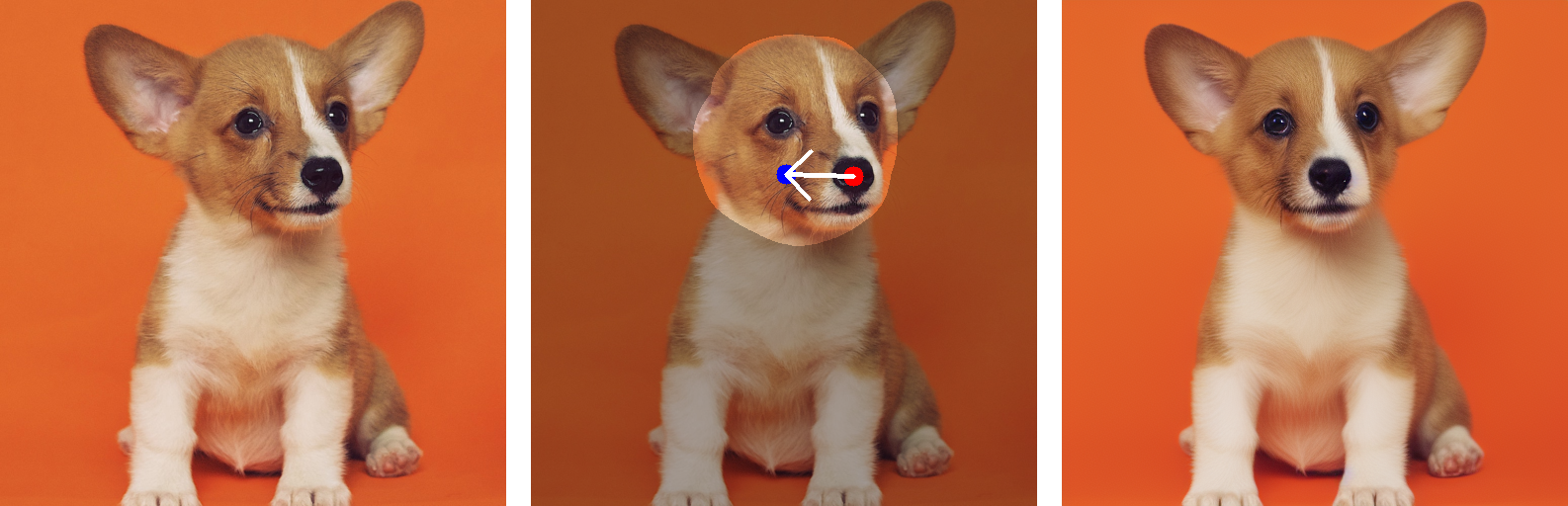 FastDrag: Manipulate Anything in One Step